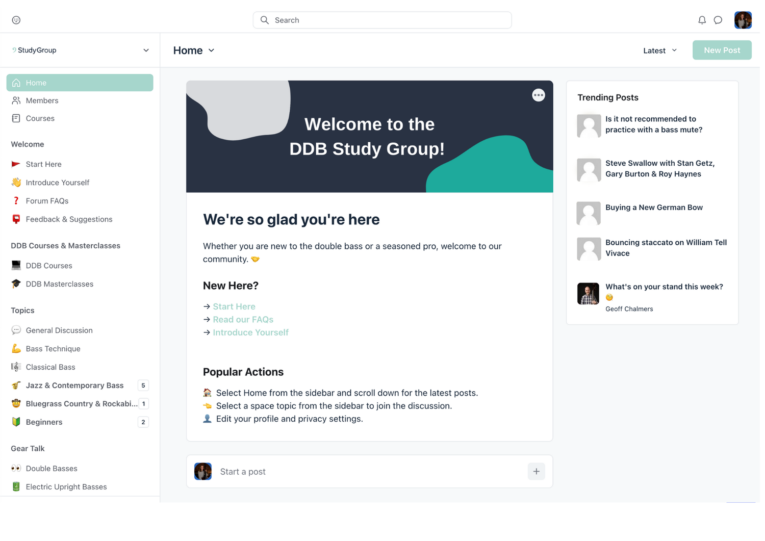 Study Group — Discover Double Bass