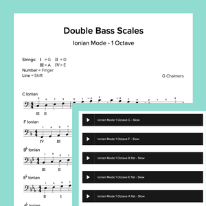 Discover Double Bass