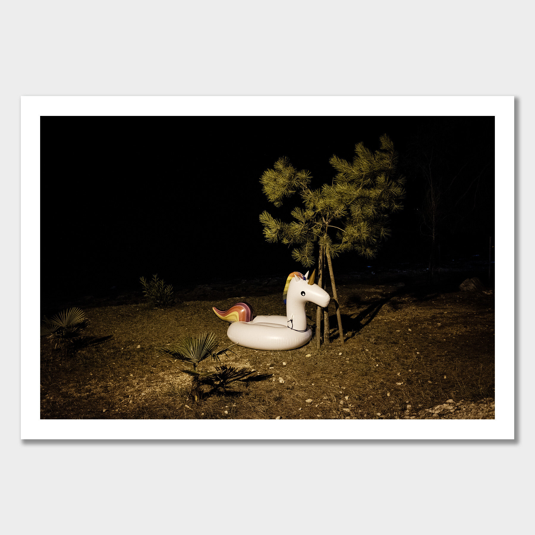 Martin Liebl – Shop — MARTIN LIEBL