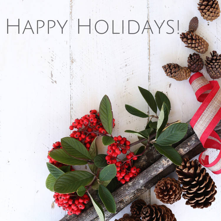 7 Ways To Decorate For the Holidays Like A Pro — Skeen Concepts