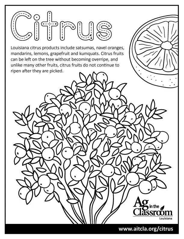 Commodity Coloring — Louisiana Ag in the Classroom