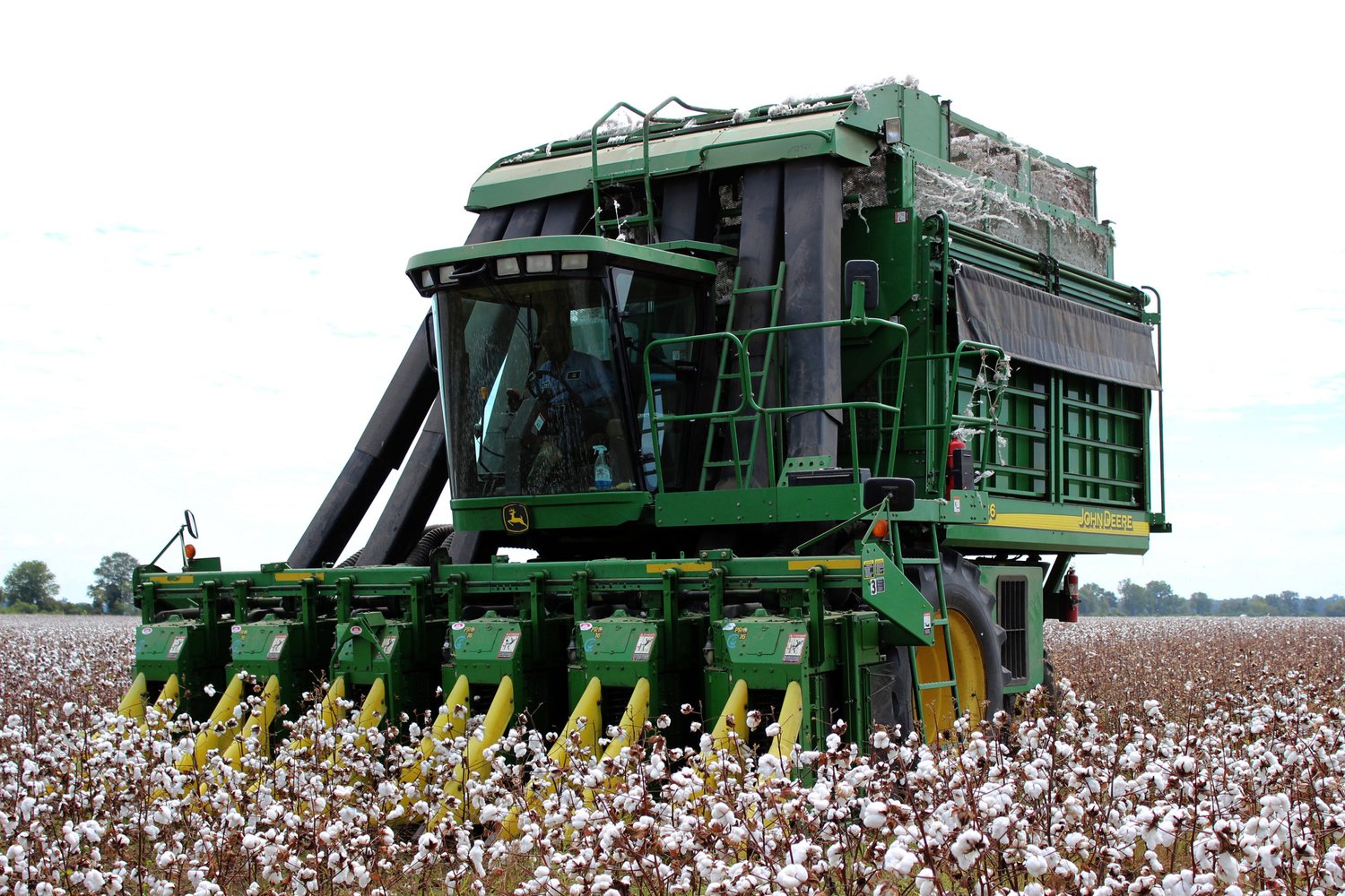 Cotton — Louisiana Ag in the Classroom