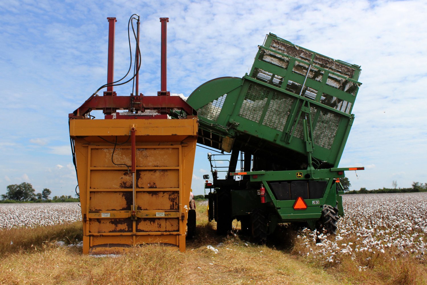 Cotton — Louisiana Ag in the Classroom