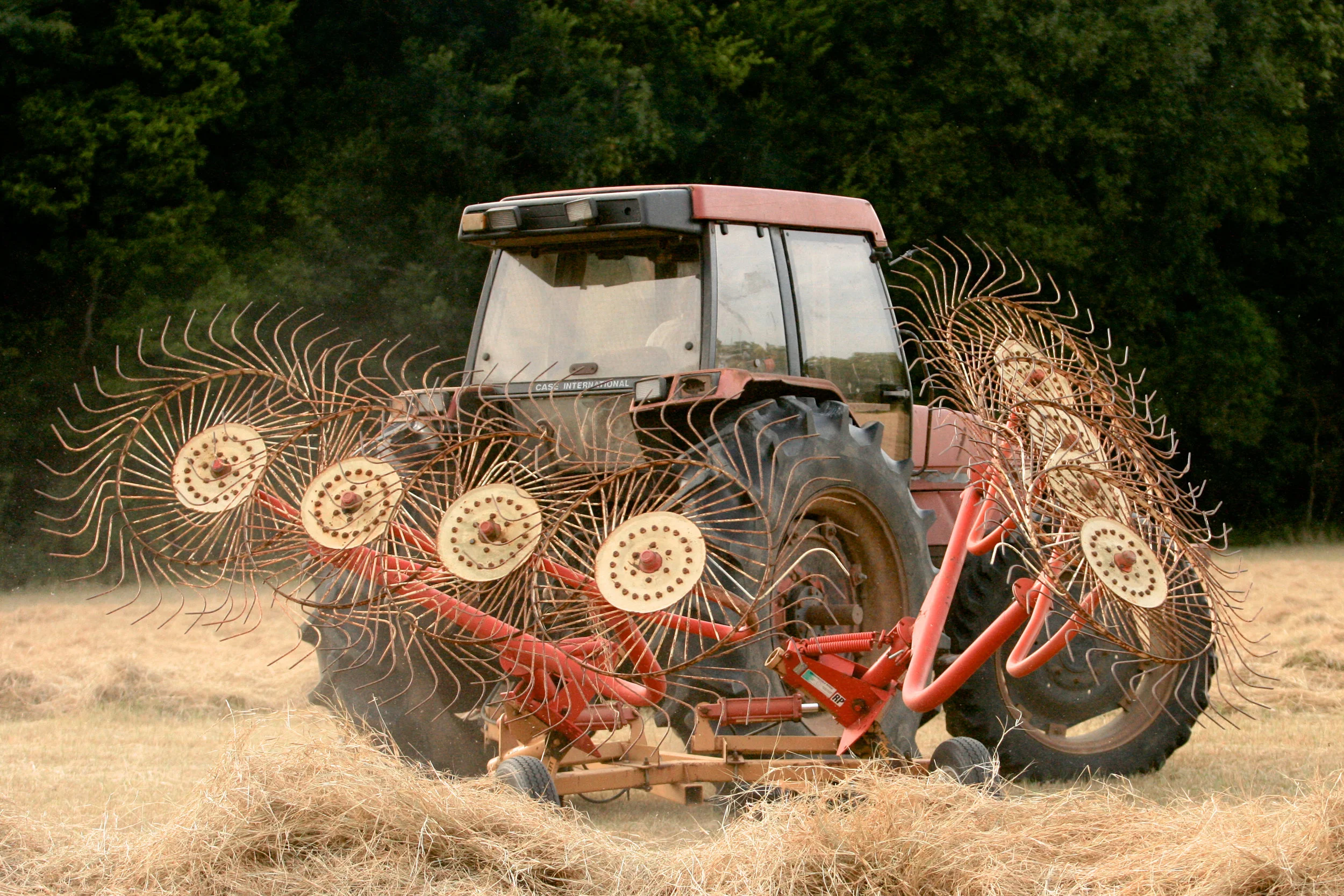 Hay — Louisiana Ag in the Classroom