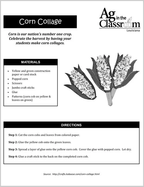 Make & Takes: Plant — Louisiana Ag in the Classroom