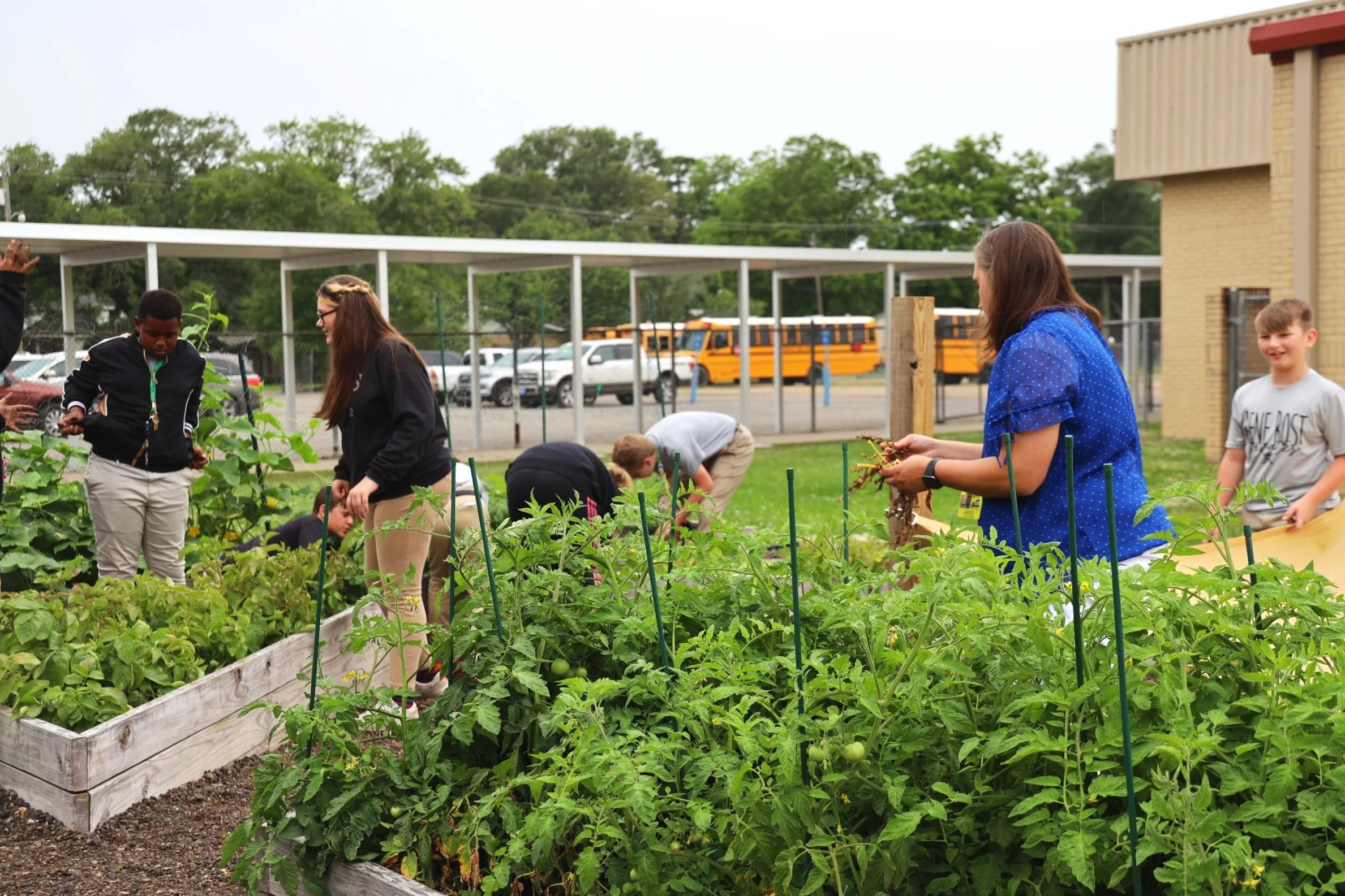 Teacher of the Year — Louisiana Ag in the Classroom