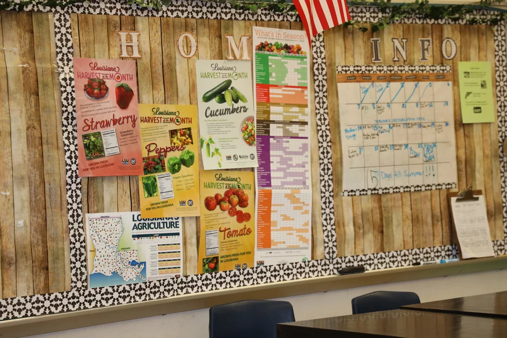 Teacher of the Year — Louisiana Ag in the Classroom