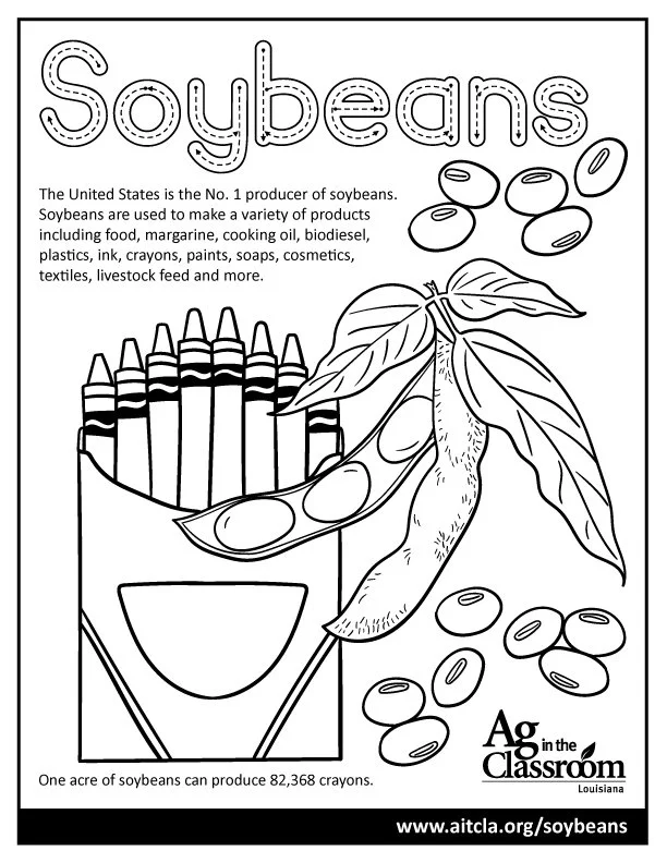 Soybeans — Louisiana Ag in the Classroom