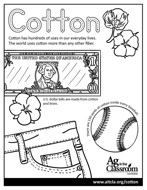 Cotton — Louisiana Ag in the Classroom