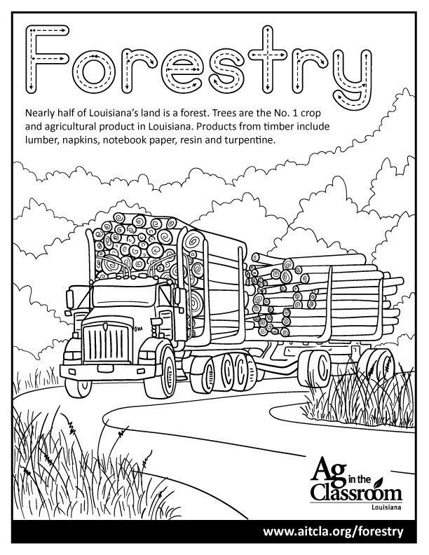 Commodity Coloring — Louisiana Ag in the Classroom