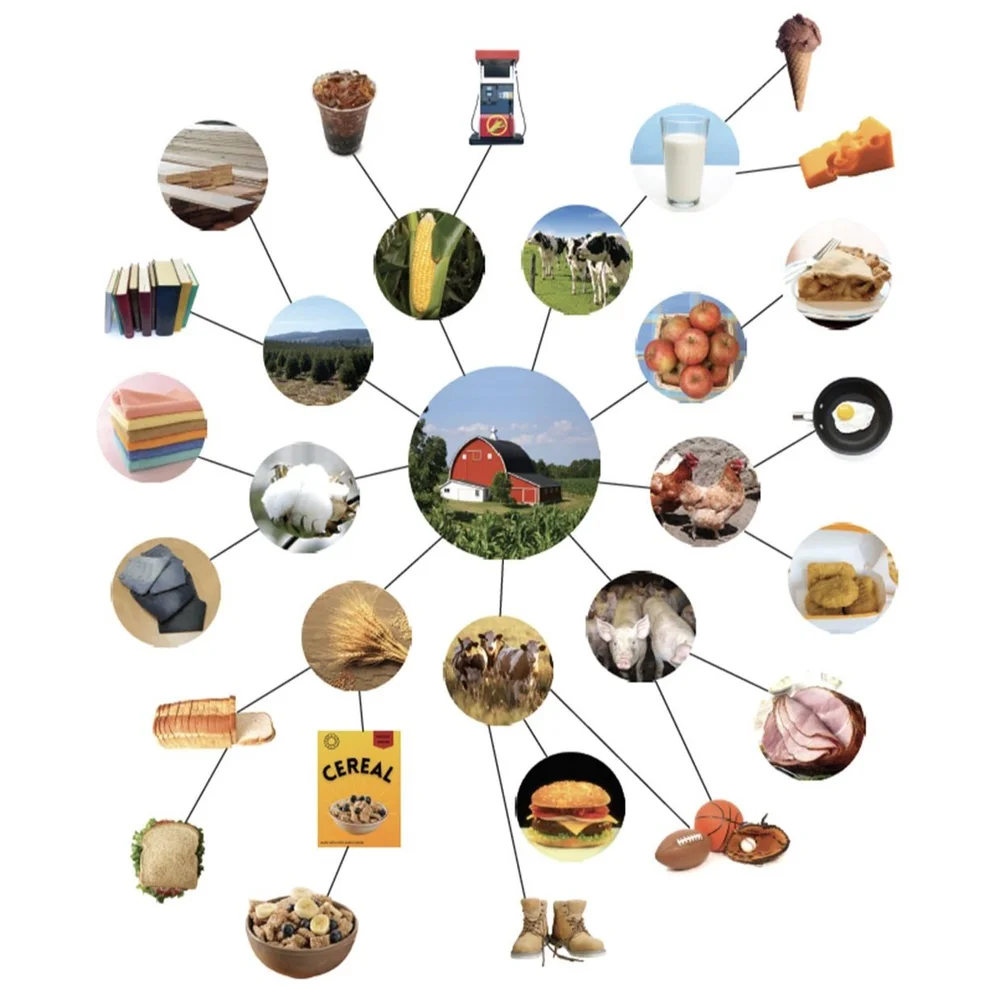 Featured Lesson Plans — Louisiana Ag in the Classroom