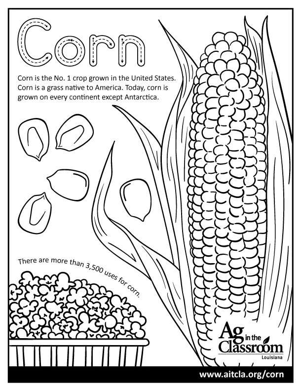 Commodity Coloring — Louisiana Ag in the Classroom