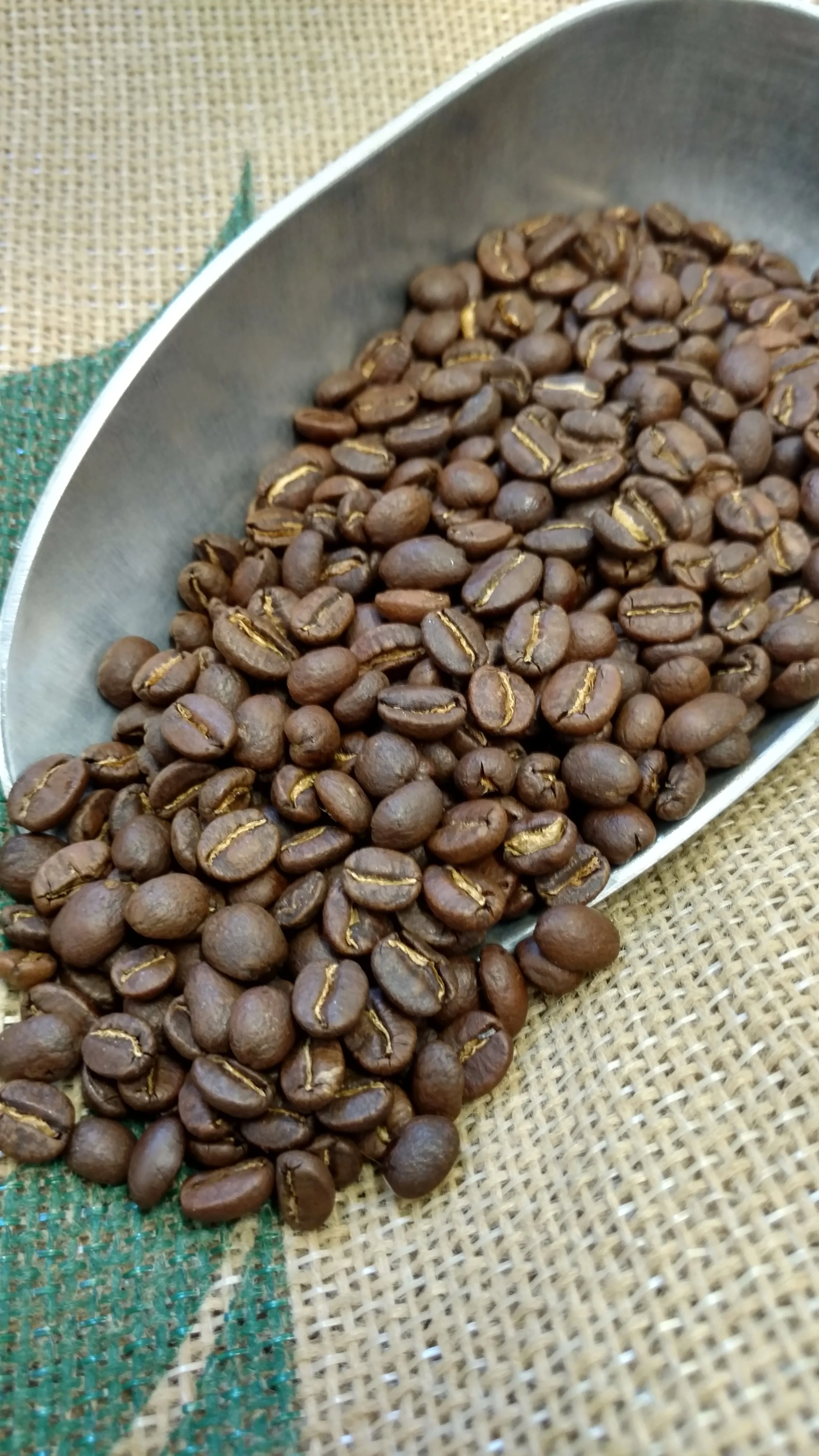 Buy Coffee — The Grind Coffee Roasters