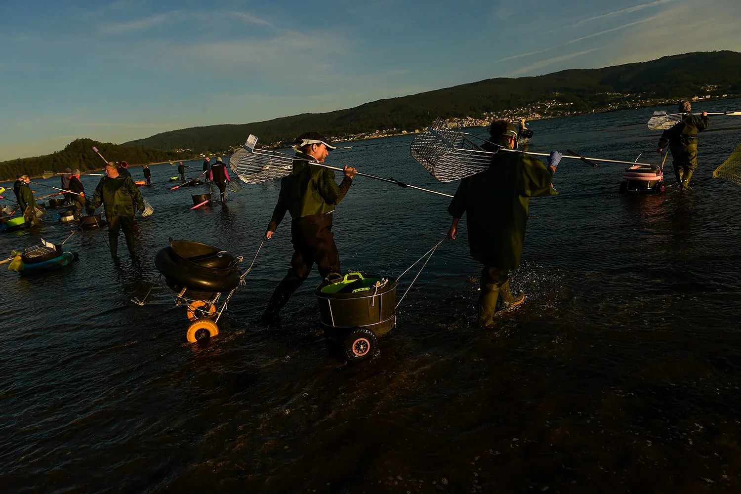 As Spain's 'peasant farmers of the sea,' groups of women dig for clams ...