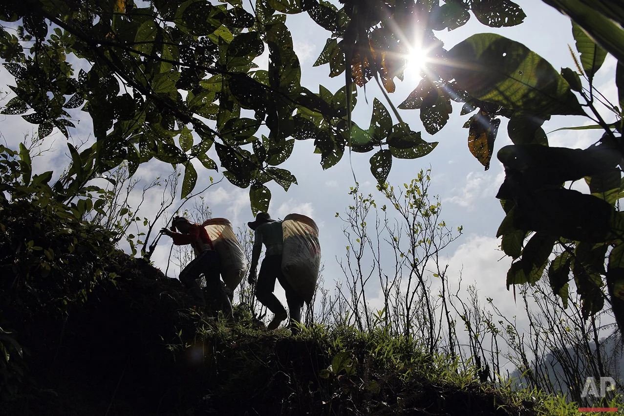 Colombia's coca paste — AP Images Spotlight