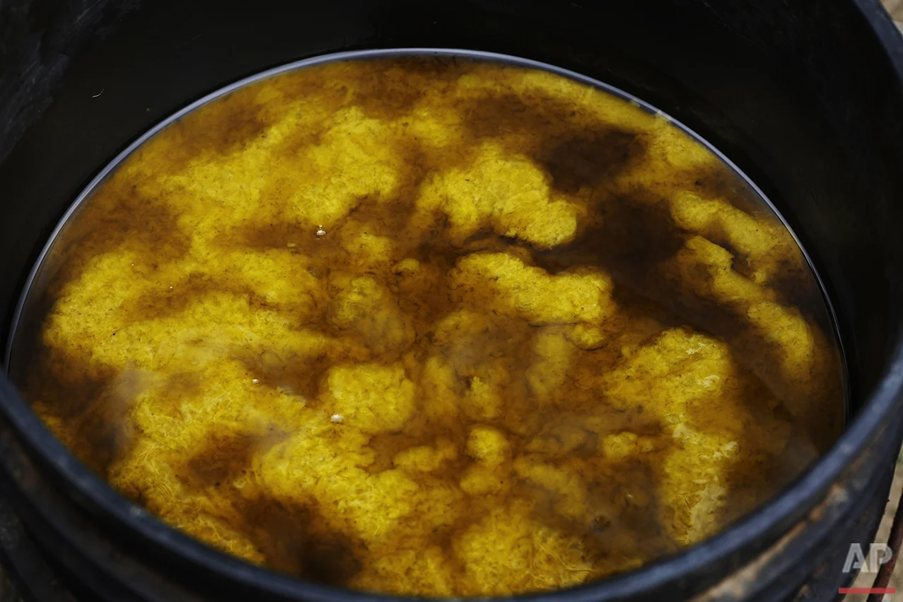 Colombia's coca paste — AP Images Spotlight