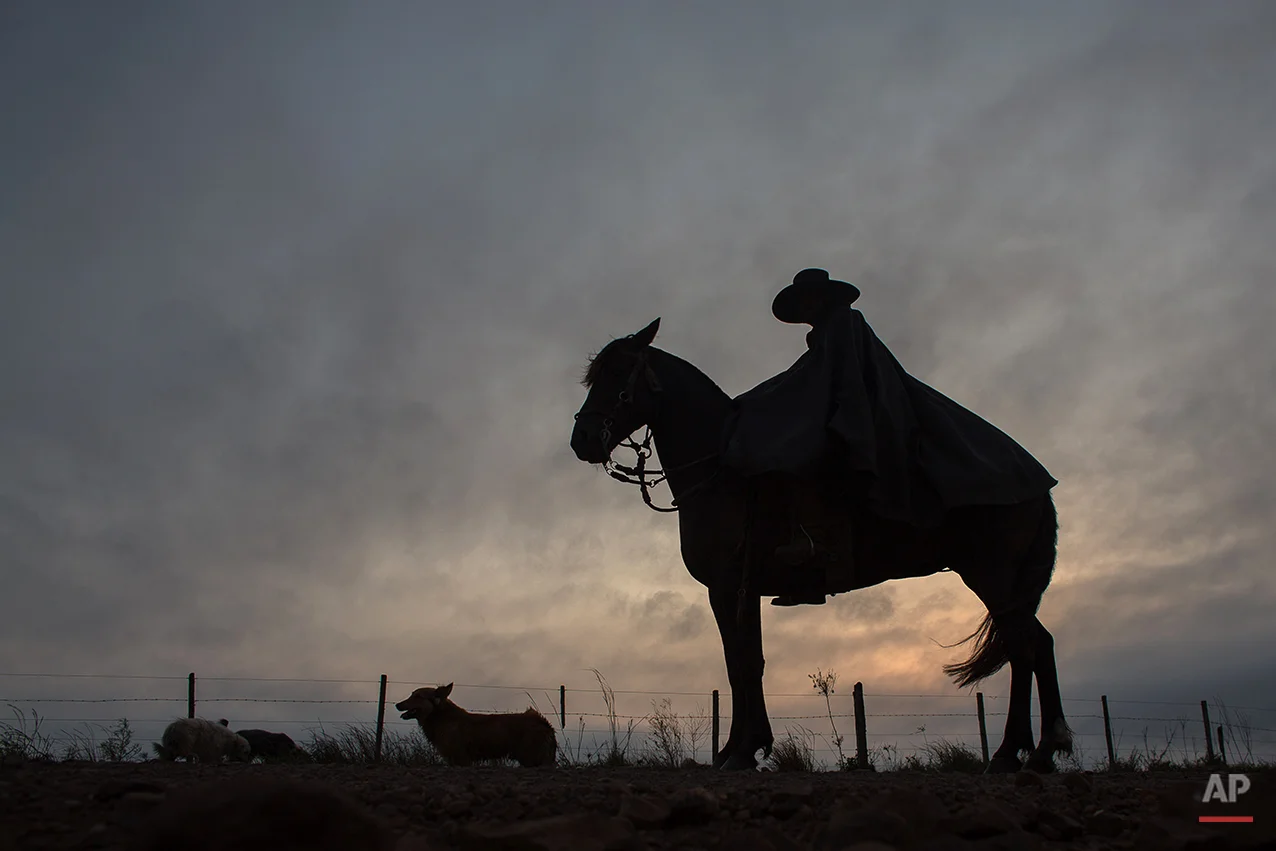 Keeping Brazil's cowboy traditions alive — AP Images Spotlight