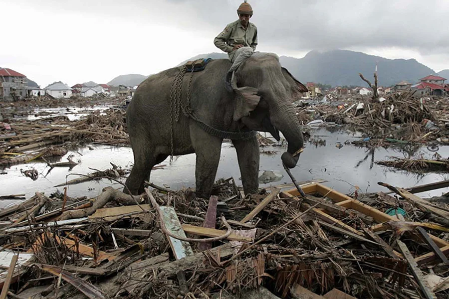 Indian Ocean Tsunami 2004