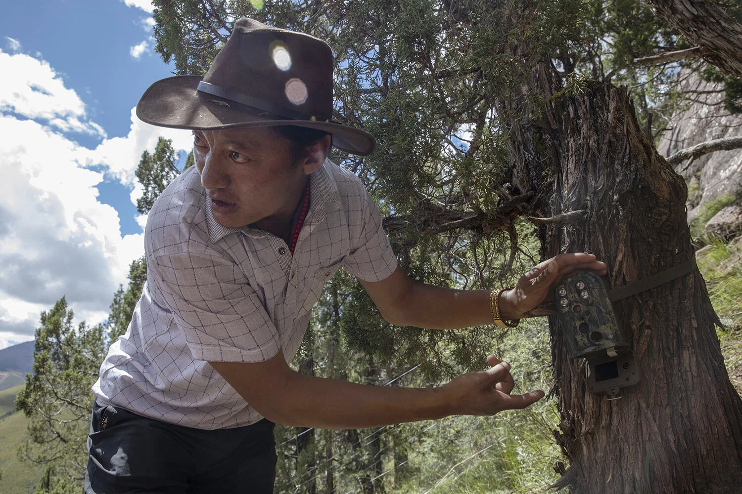 China aims to build its own Yellowstone on Tibetan plateau — AP Photos