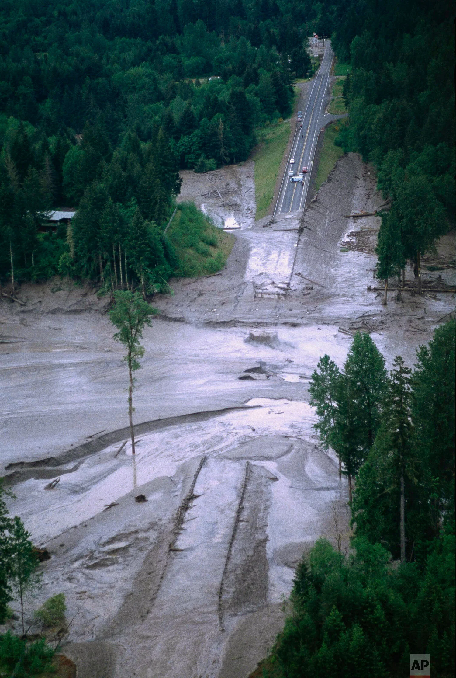 40 years since Mount St. Helens devastating blast — AP Images Spotlight