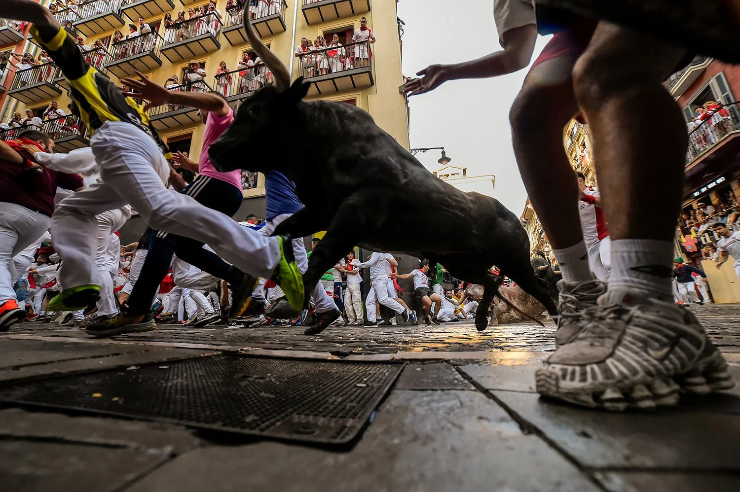 Thousands take part in first running of the bulls in Spain's San Fermin ...