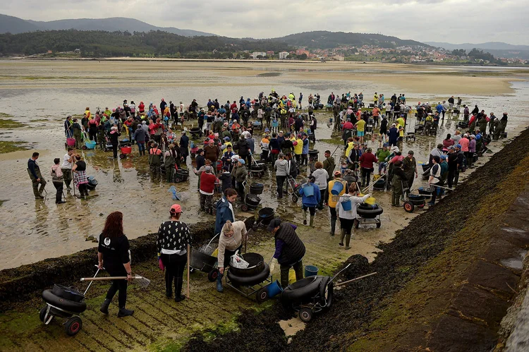As Spain's 'peasant farmers of the sea,' groups of women dig for clams ...