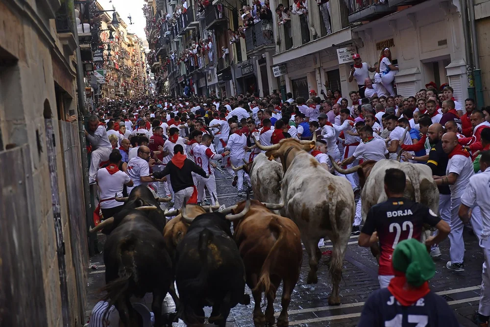 Thousands take part in the running of the bulls at Spain's San Fermin ...