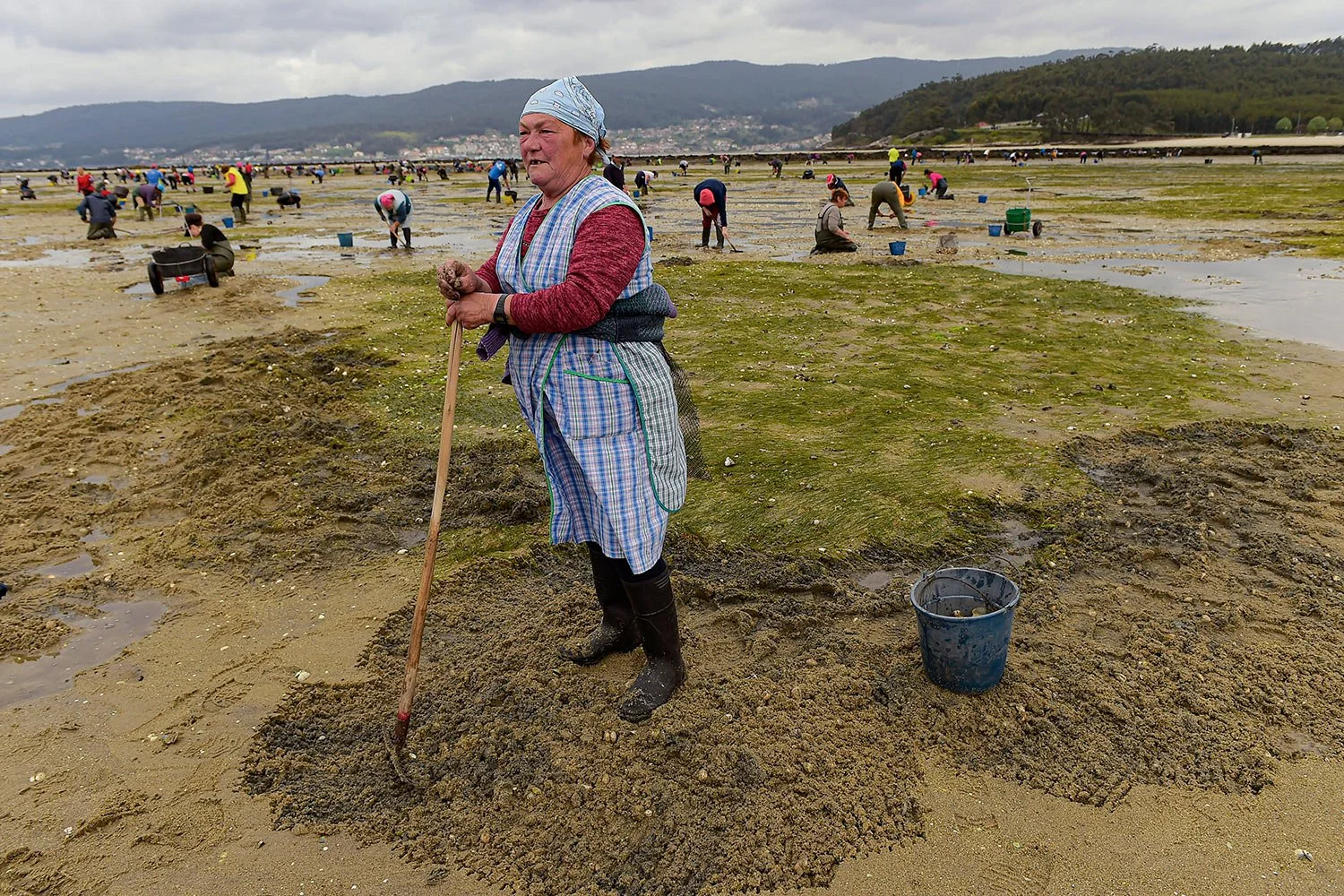 As Spain's 'peasant farmers of the sea,' groups of women dig for clams ...