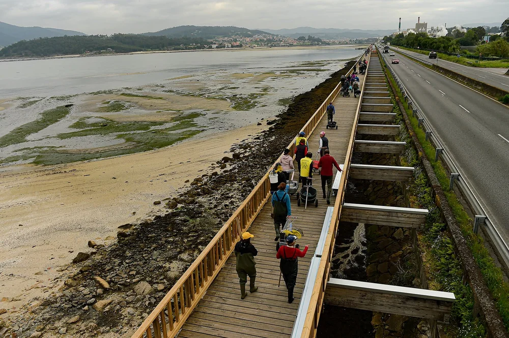 As Spain's 'peasant farmers of the sea,' groups of women dig for clams ...