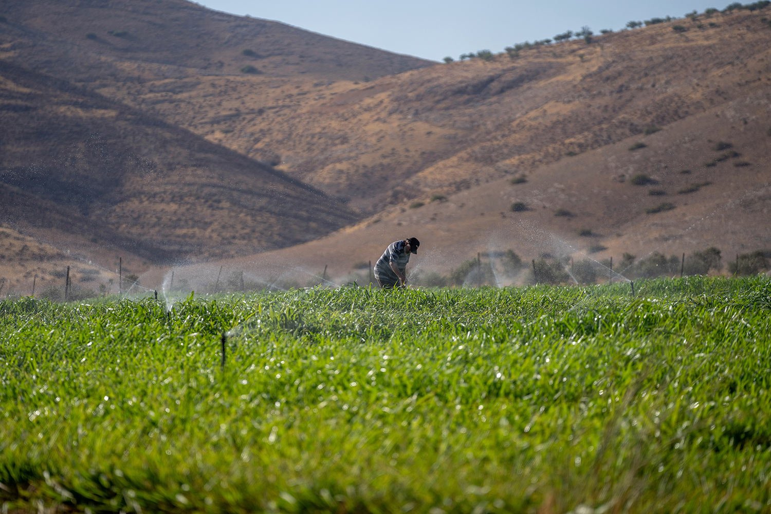As Israeli settlements thrive, Palestinian taps run dry. The water ...