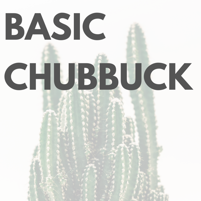 Chubbuck Classes — Southwest Scene Works