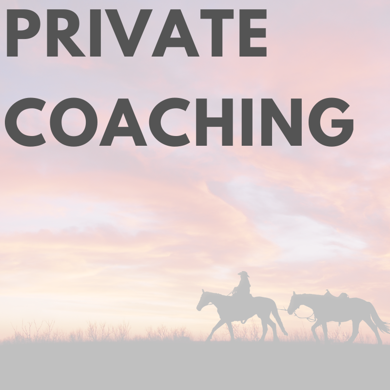 Private Coaching — Southwest Scene Works