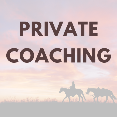 Private Coaching — Southwest Scene Works