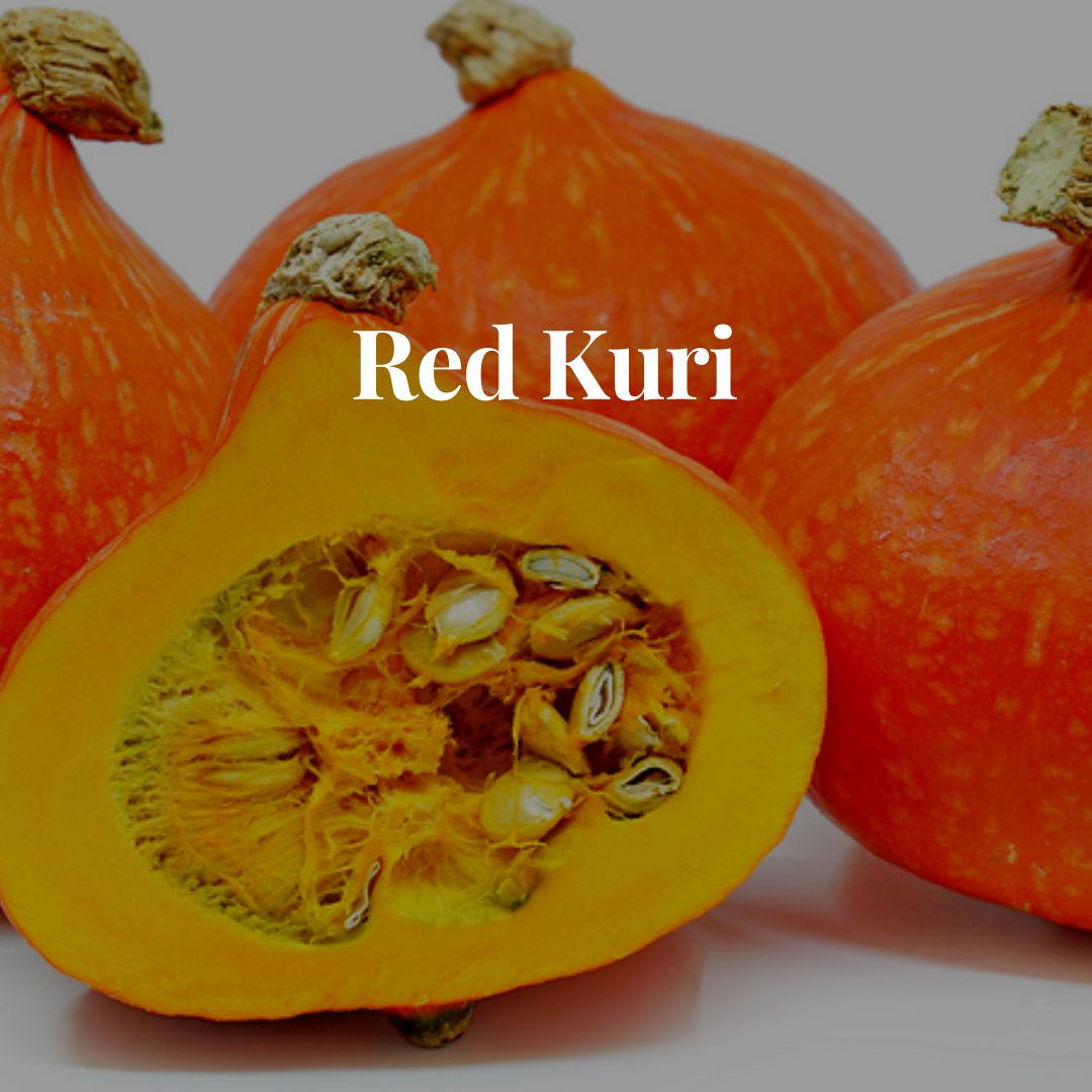 Red Kabocha Squash