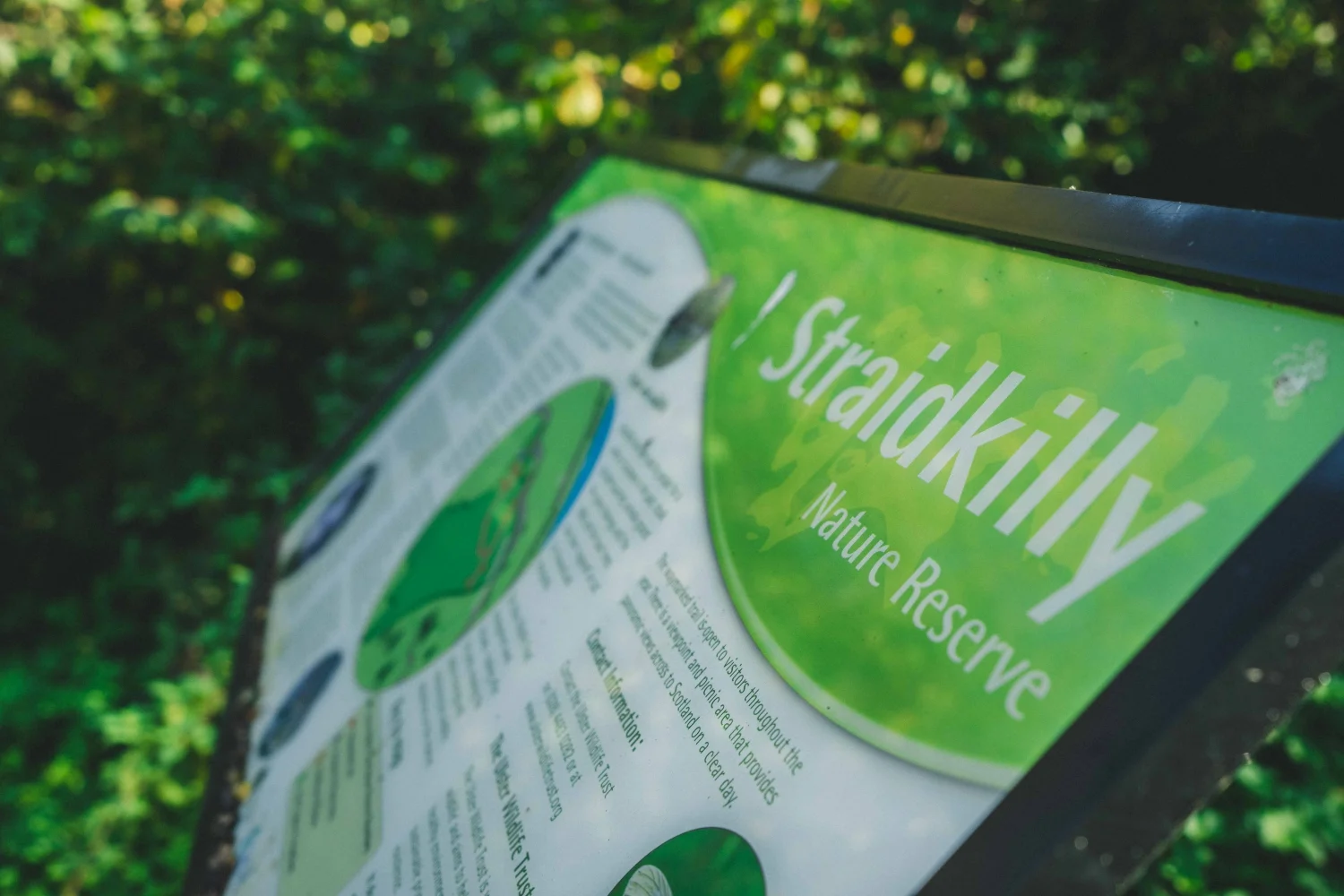 STRAIDKILLY TRAIL — NI EXPLORER