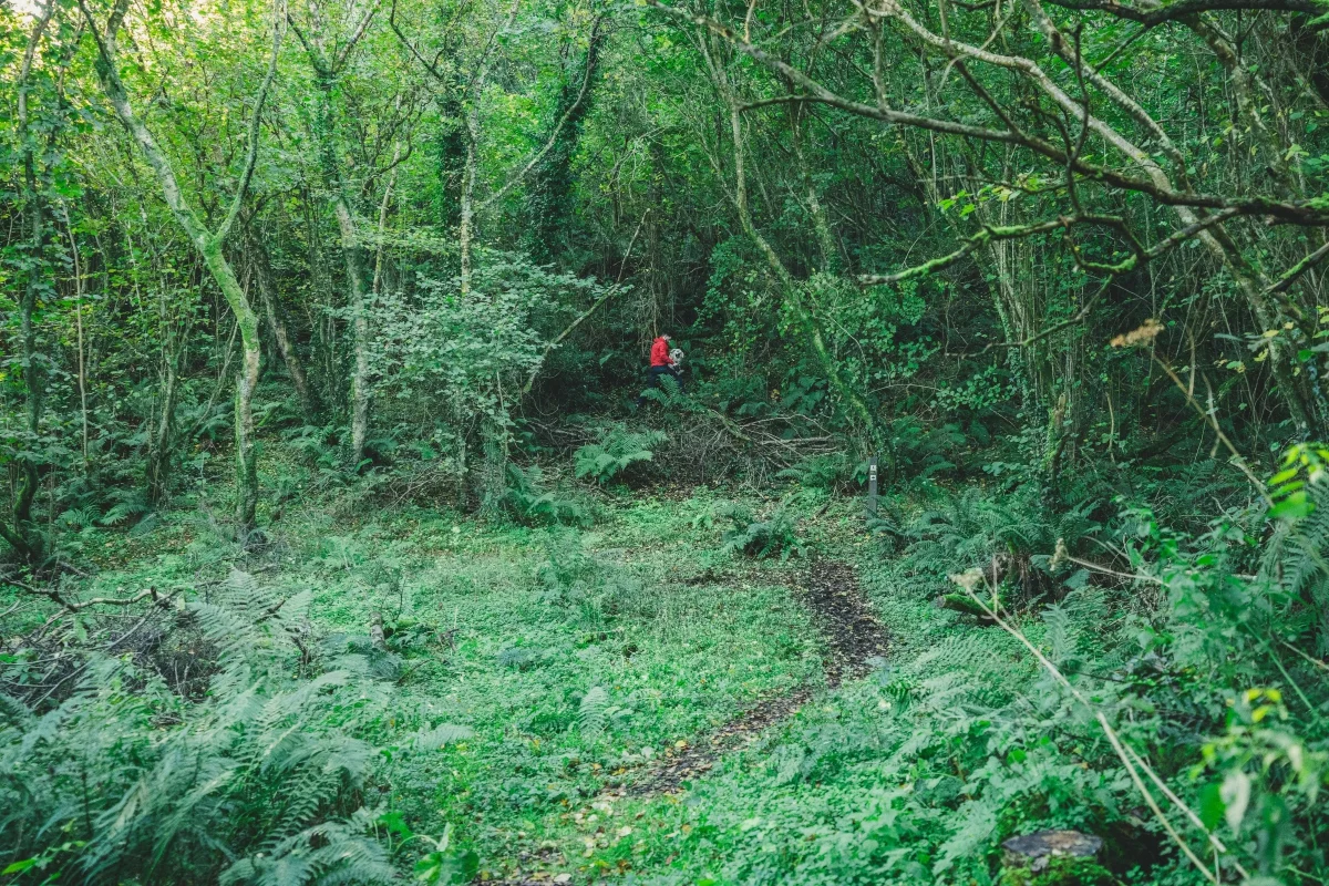 STRAIDKILLY TRAIL — NI EXPLORER