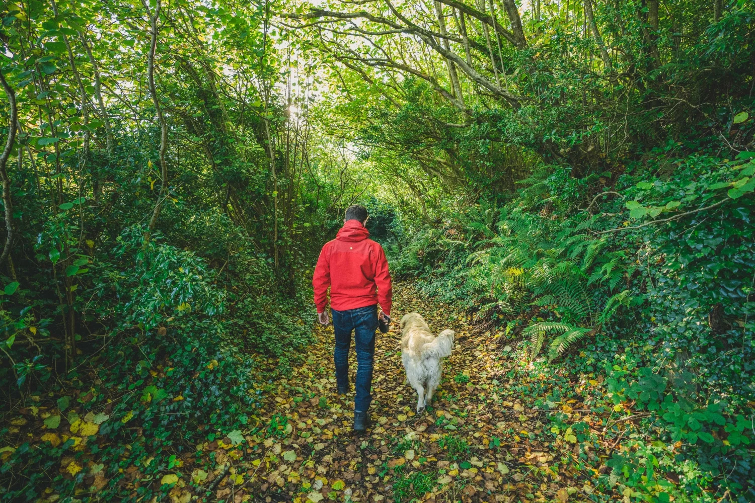 STRAIDKILLY TRAIL — NI EXPLORER