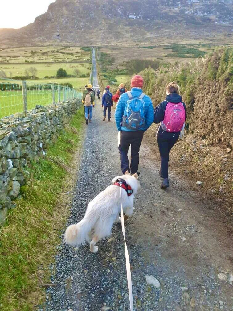 SLIEVE BEARNAGH | Mourne Mountains Best Walks — NI EXPLORER