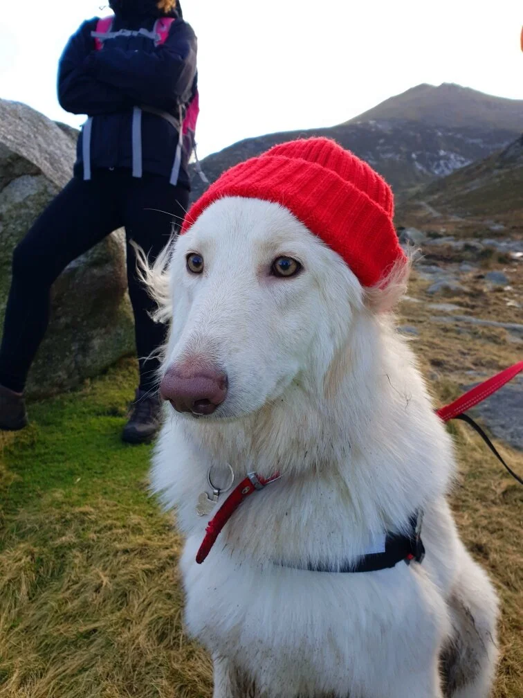 SLIEVE BEARNAGH | Mourne Mountains Best Walks — NI EXPLORER