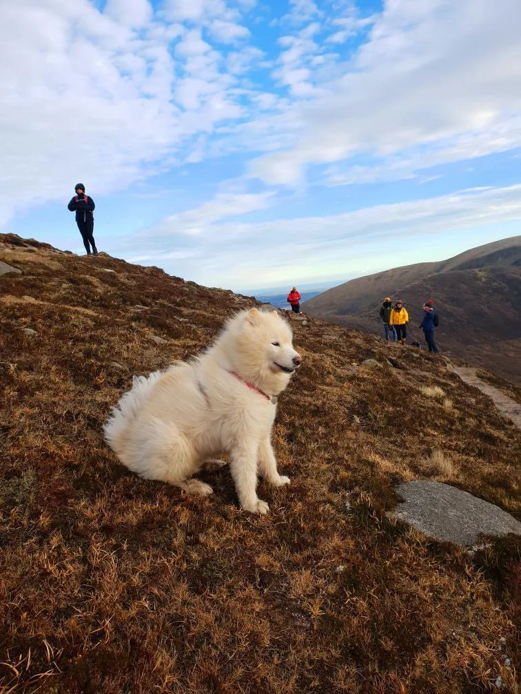 SLIEVE BEARNAGH | Mourne Mountains Best Walks — NI EXPLORER