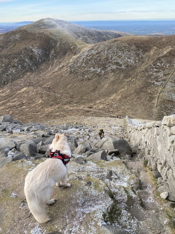 SLIEVE BEARNAGH | Mourne Mountains Best Walks — NI EXPLORER