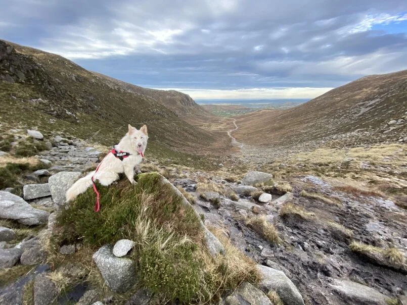 SLIEVE BEARNAGH | Mourne Mountains Best Walks — NI EXPLORER