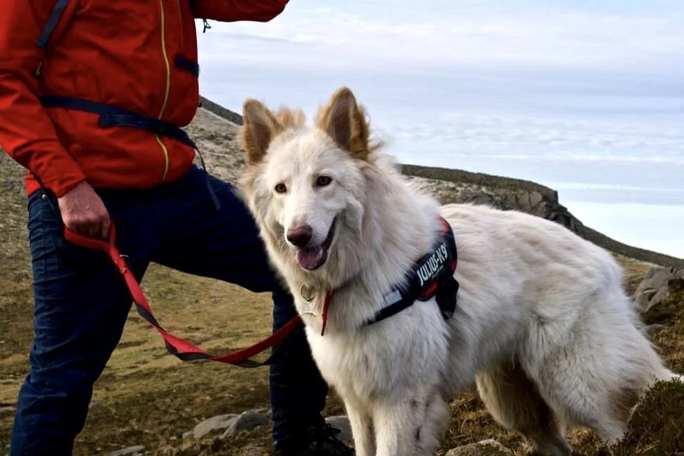SLIEVE BEARNAGH | Mourne Mountains Best Walks — NI EXPLORER