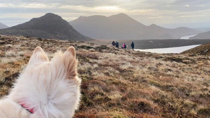 SLIEVE DOAN — NI EXPLORER