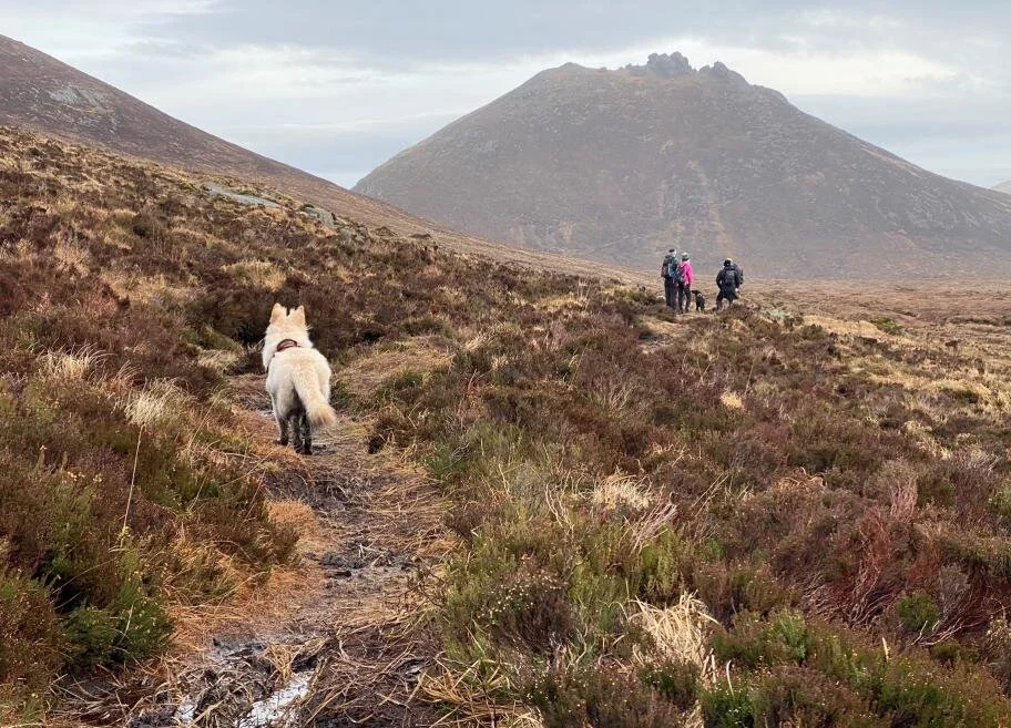 SLIEVE DOAN — NI EXPLORER