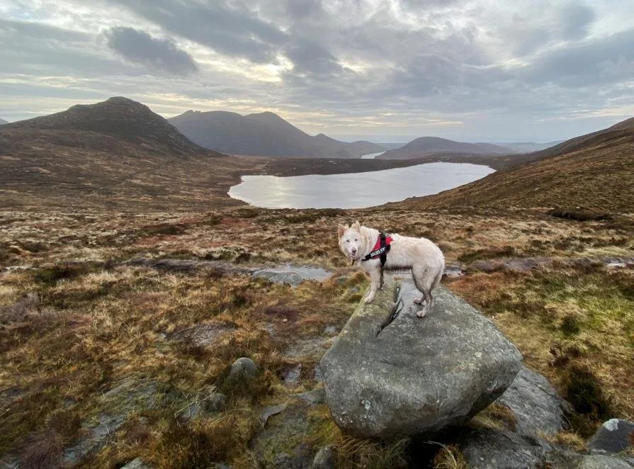 SLIEVE DOAN — NI EXPLORER