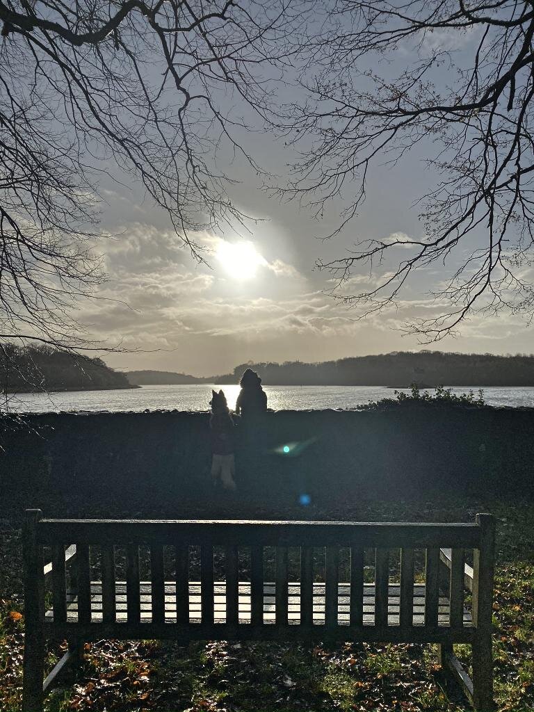 CROM ESTATE — NI EXPLORER