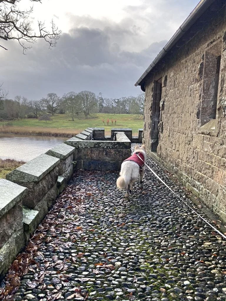 CROM ESTATE — NI EXPLORER