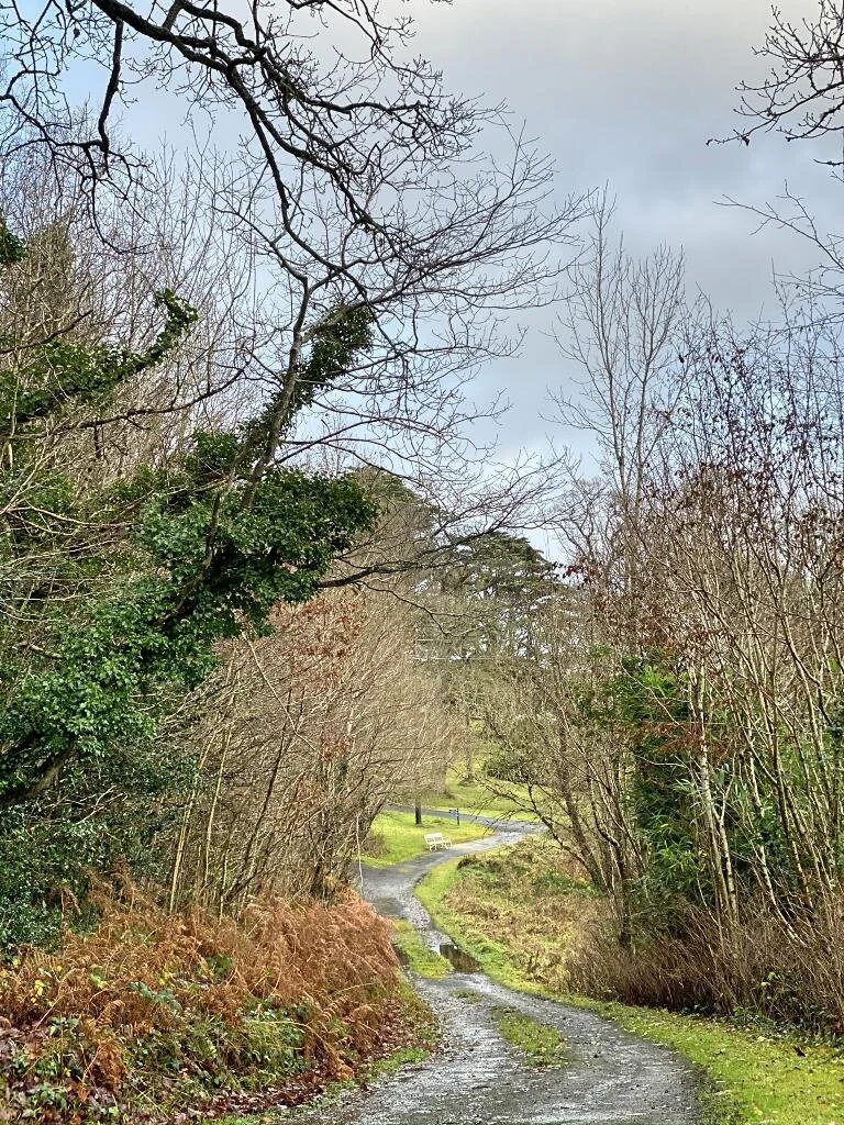 CROM ESTATE — NI EXPLORER