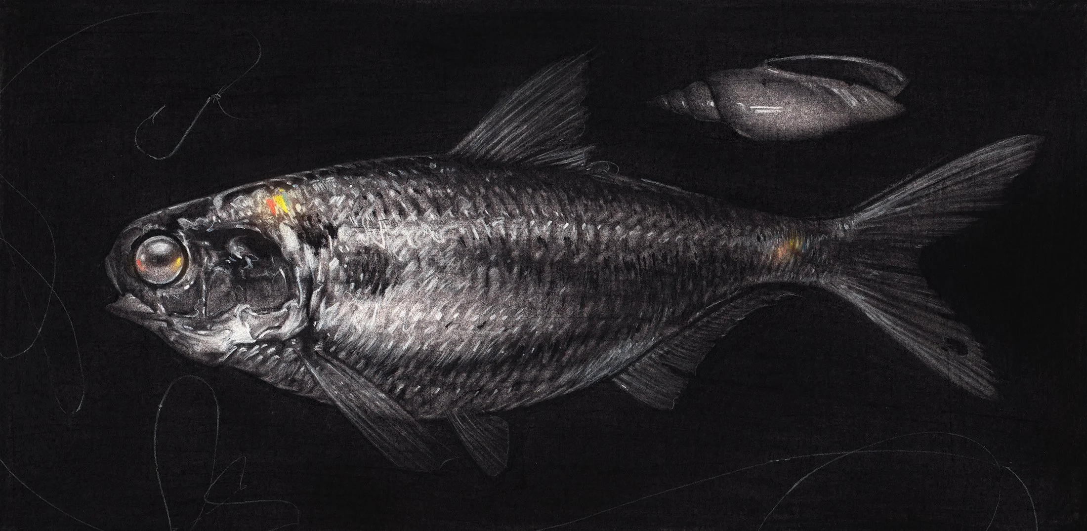 Artwork — SAM WOLFE CONNELLY